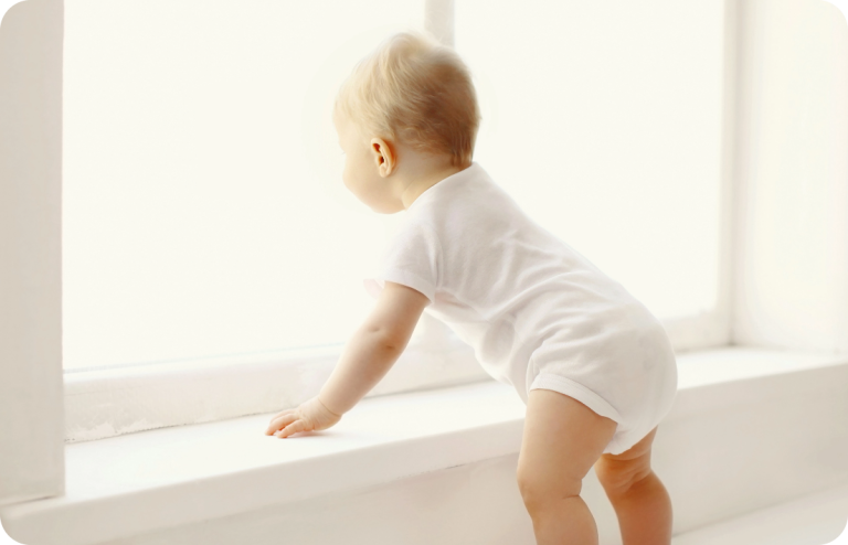 Wholesale Window Treatments Supplier & Manufacturer | Elite Window Fashions